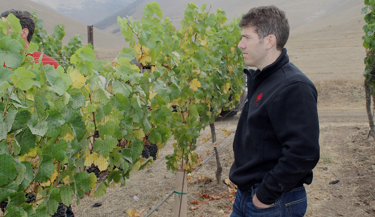 Nicholas Wines Home - Quality Wine at the Best Price Nicholas Wines