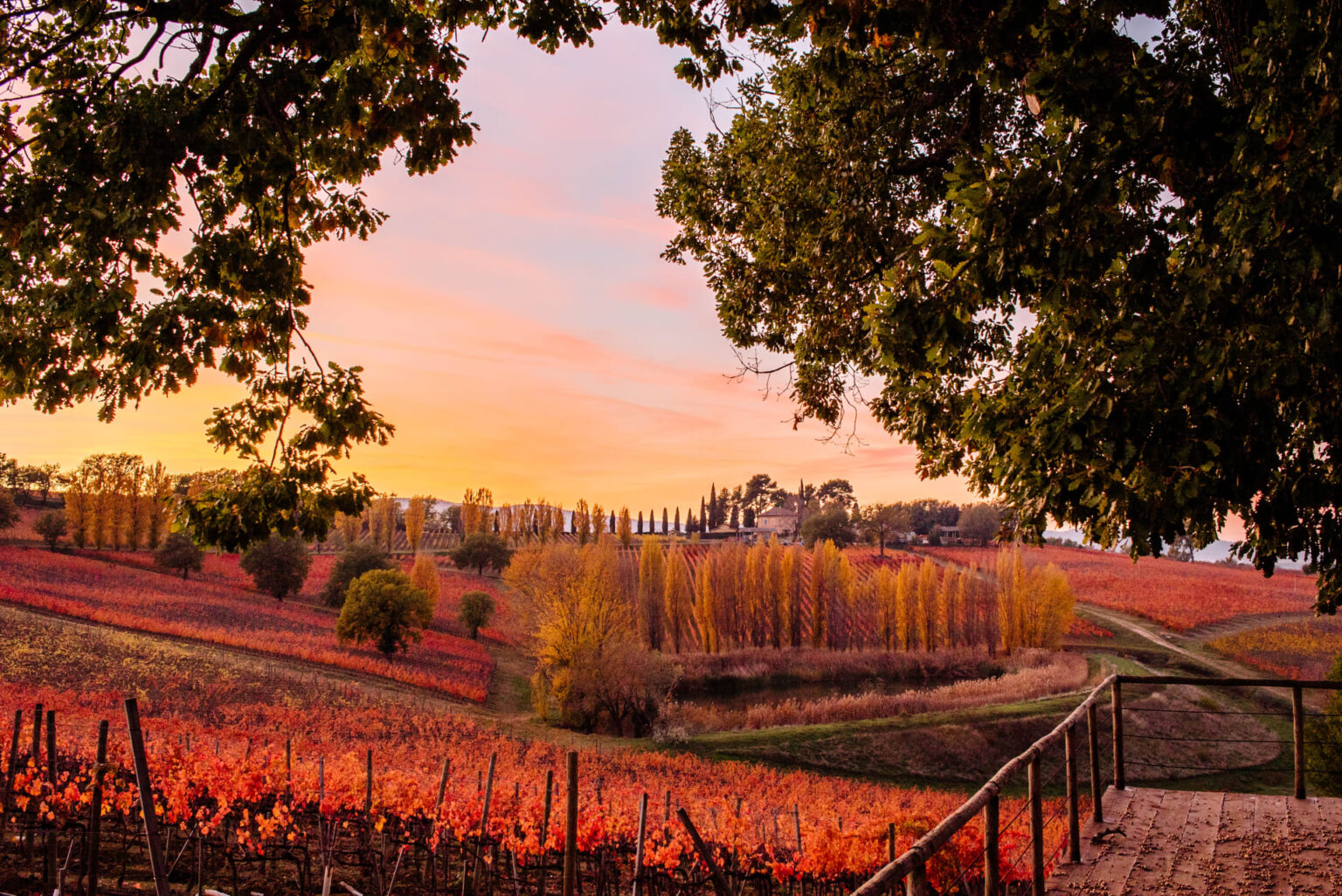 Arnaldo Caprai Montefalco Rosso 2019 - Nicholas Wines