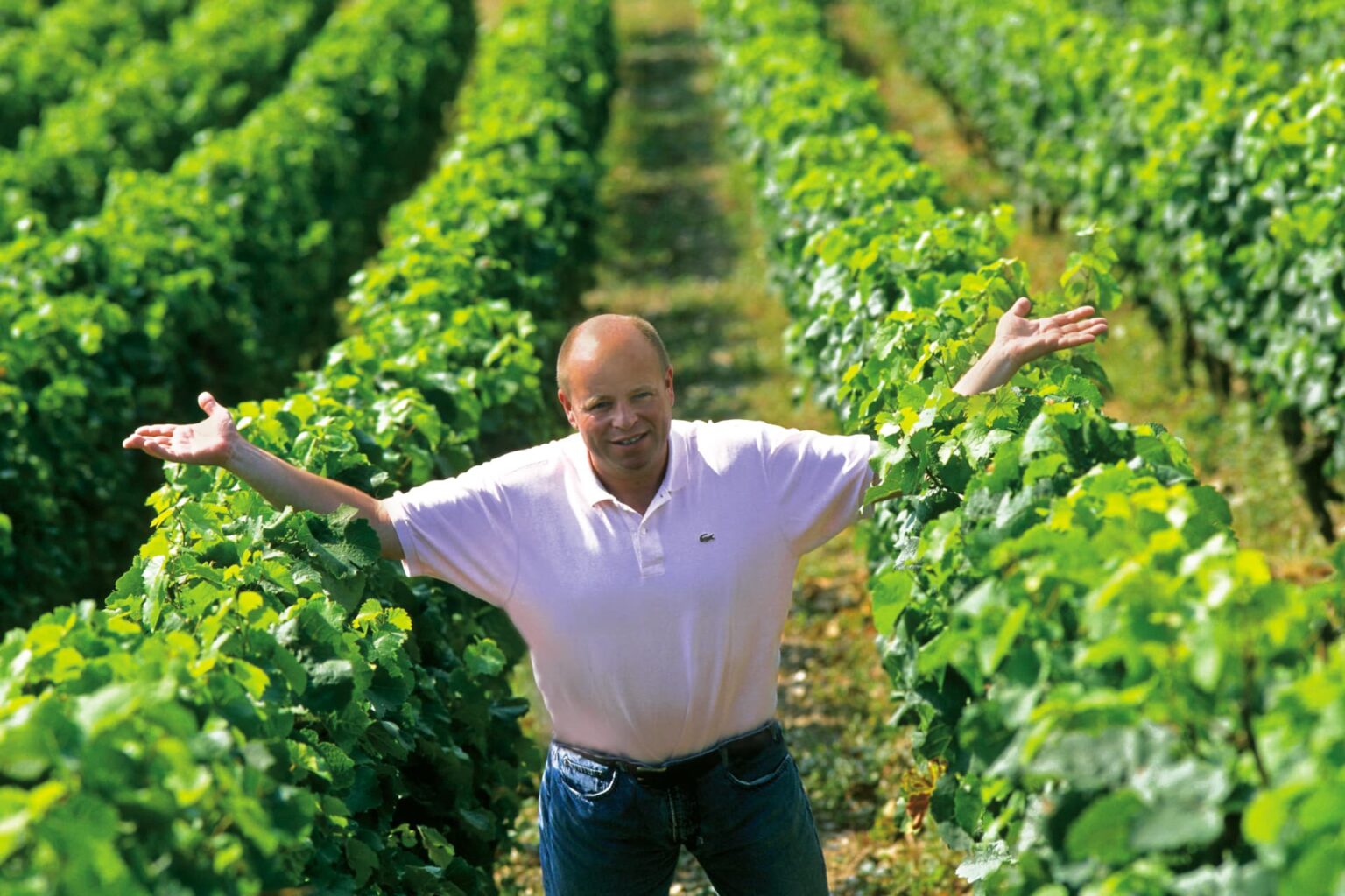 August Kesseler R Riesling Kabinett Rheingau 2021 - Nicholas Wines