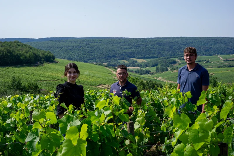 Barolet Pernot Puligny-Montrachet La Brelance 2022 - Nicholas Wines