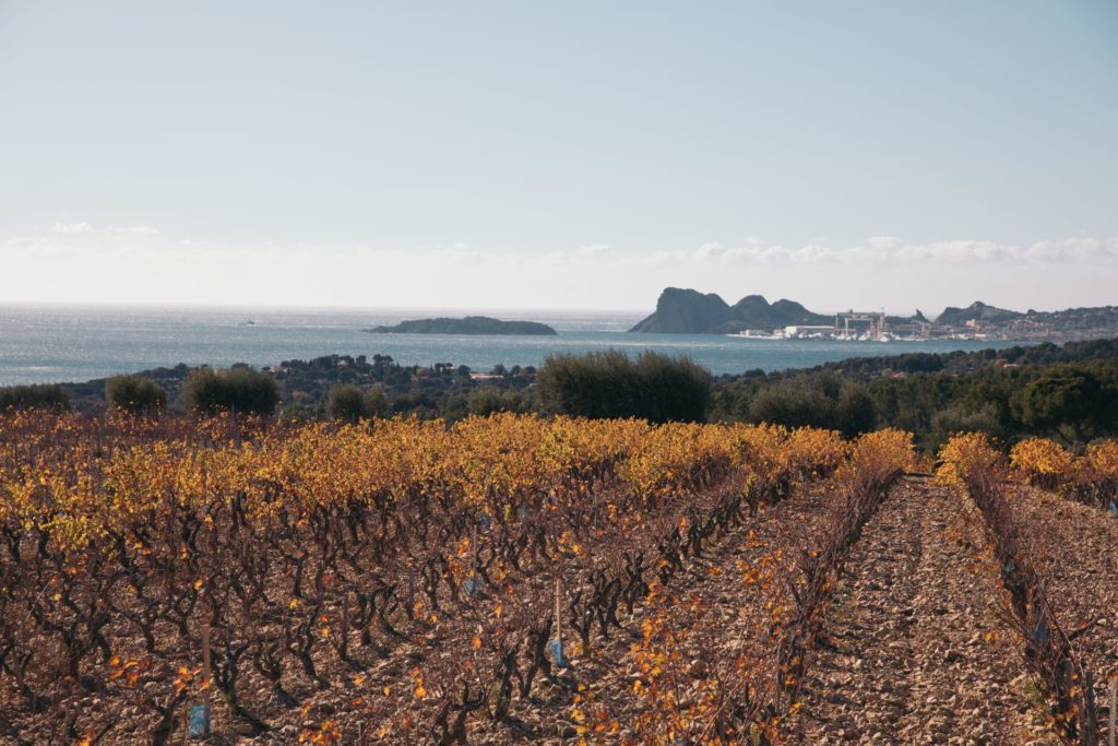 Bieler Pere et Fills Rose Sabine Aix en Provence 2019 - Nicholas Wines