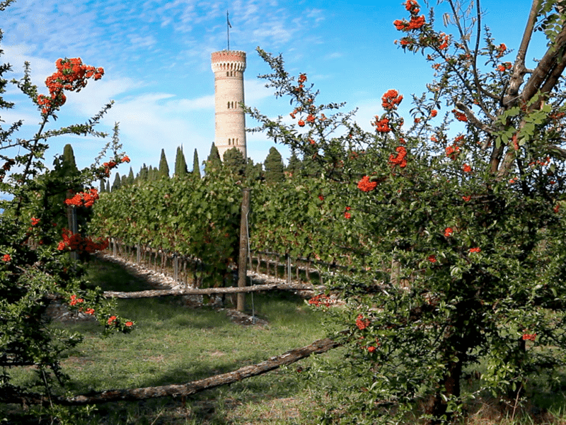 Ca Dei Frati Lugana DOC 2023 - Nicholas Wines