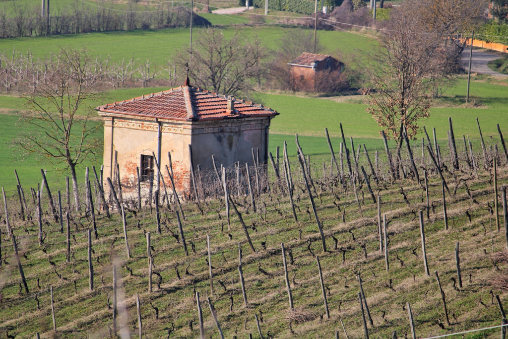 Cantine Volpi Aurora Barbera Piemonte 2021 (12-Pack Price) - Nicholas Wines