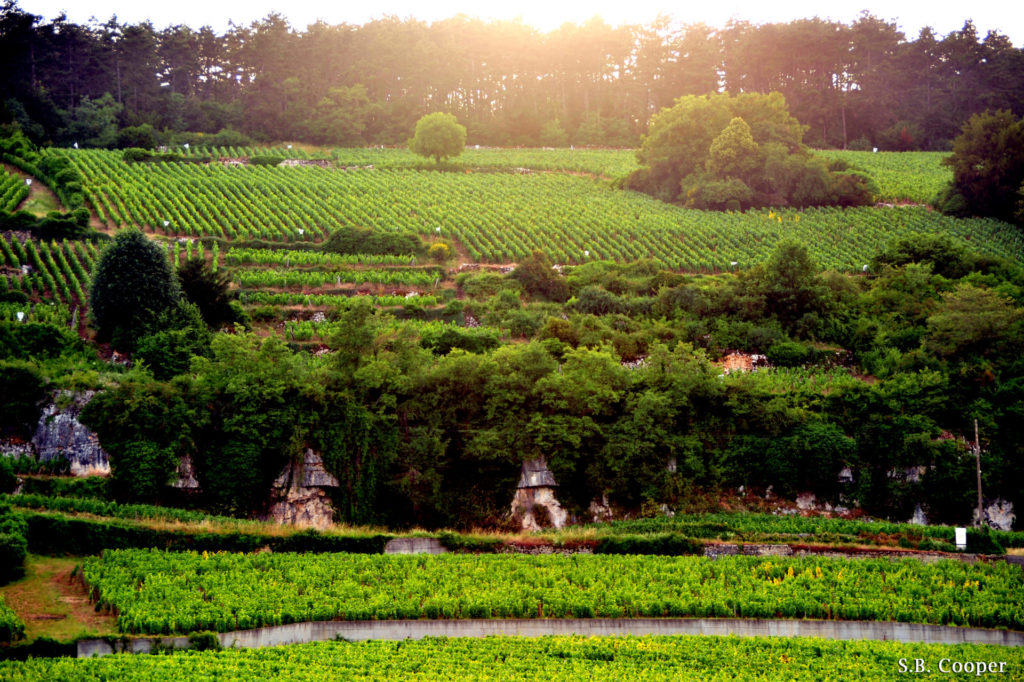 Domaine Henri Gouges Nuits-St-Georges Clos des Porrets 2017 - Nicholas ...
