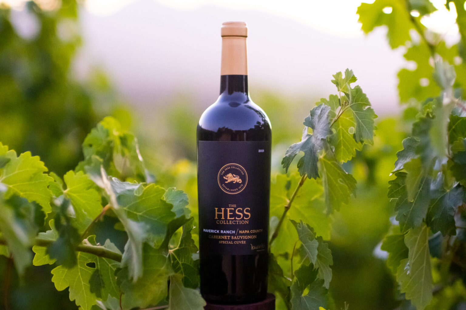Hess Maverick Ranch Cabernet Sauvignon Paso Robles 2020 - Nicholas Wines