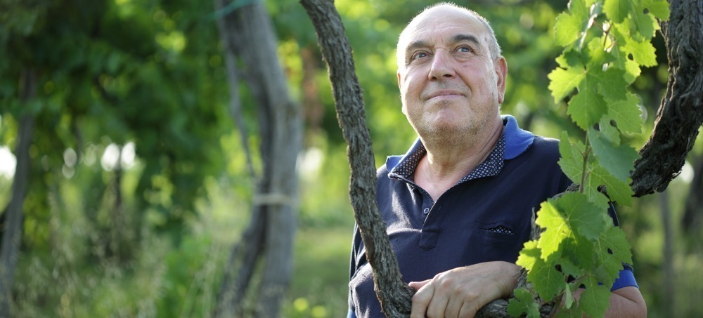 Lonardo Irpinia Rosso Aglianico 2019 - Nicholas Wines