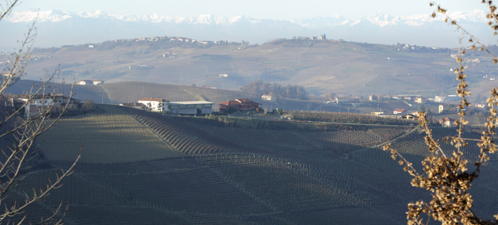Elio Perrone Bigaro 2022 - Nicholas Wines