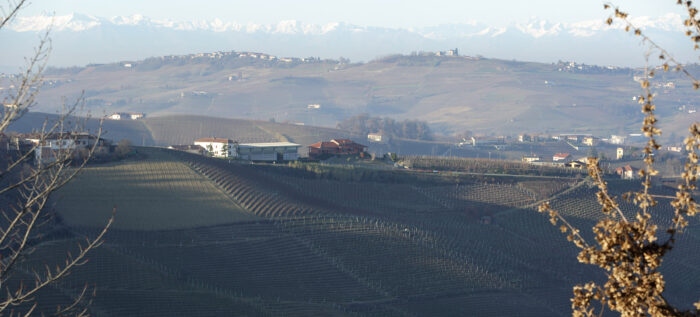 Elio Perrone Bigaro 2022 - Nicholas Wines