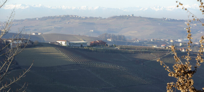 Elio Perrone Bigaro 2022 - Nicholas Wines