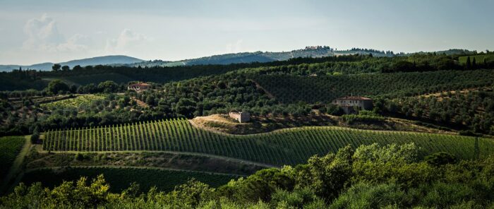 San Felice Rosso Toscana IGT 2022 - Nicholas Wines