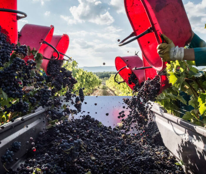 San Felice Chianti Classico 2020 - Nicholas Wines
