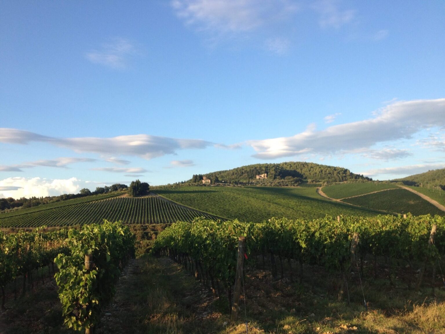 Marchesi Antinori Tignanello 2010 - Nicholas Wines