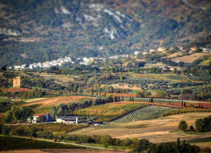 Torre Raone Montepulciano d'Abruzzo 2022 - Nicholas Wines