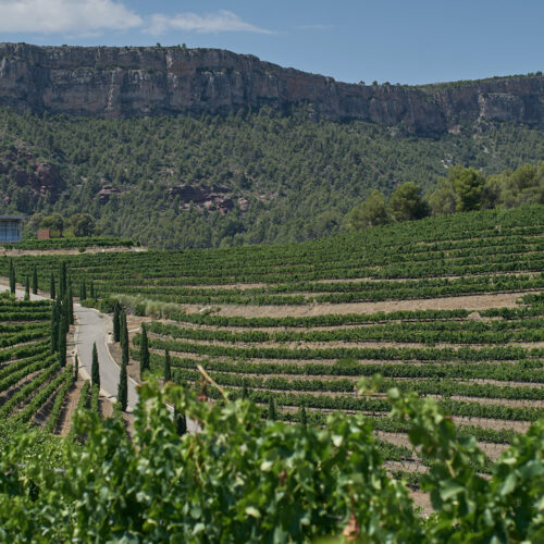 Familia Torres Secret Del Priorat 2019 - Nicholas Wines