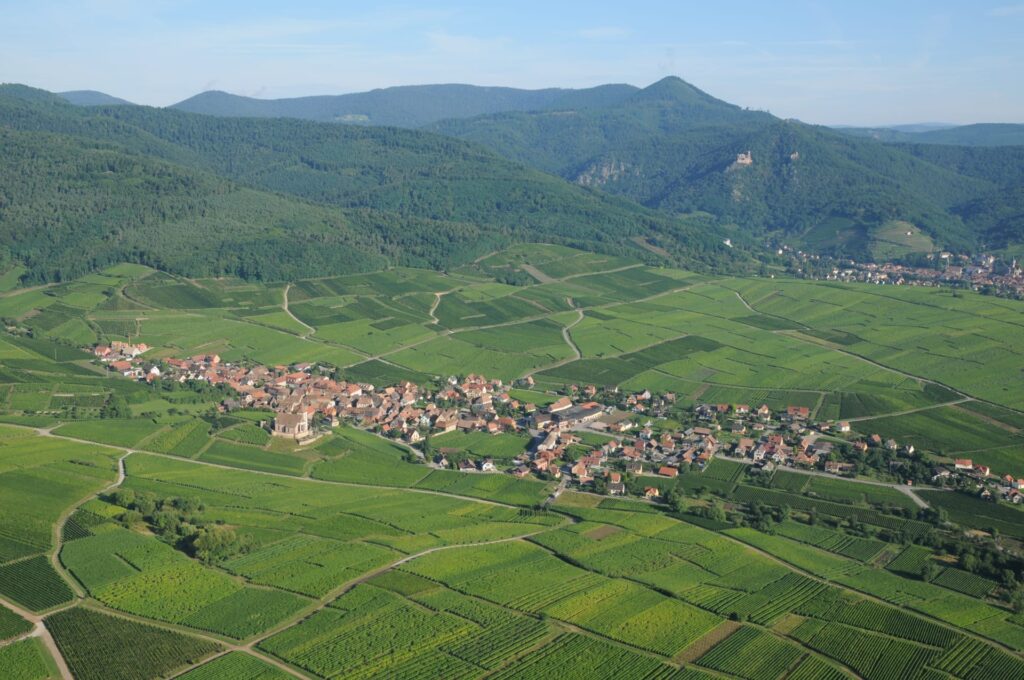 Trimbach Riesling Alsace 2019 - Nicholas Wines