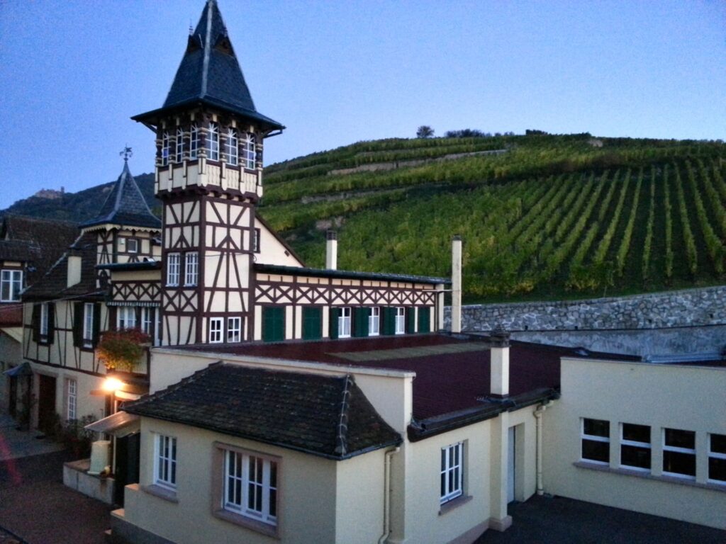 Trimbach Riesling Alsace 2019 - Nicholas Wines